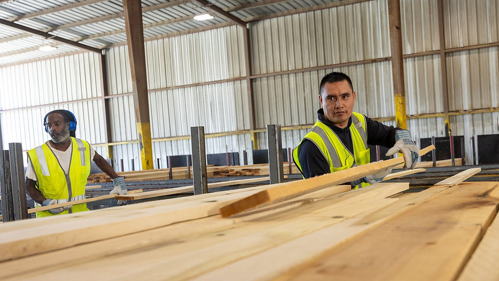 Premium Appalachian Hardwood Lumber | Beard Hardwoods