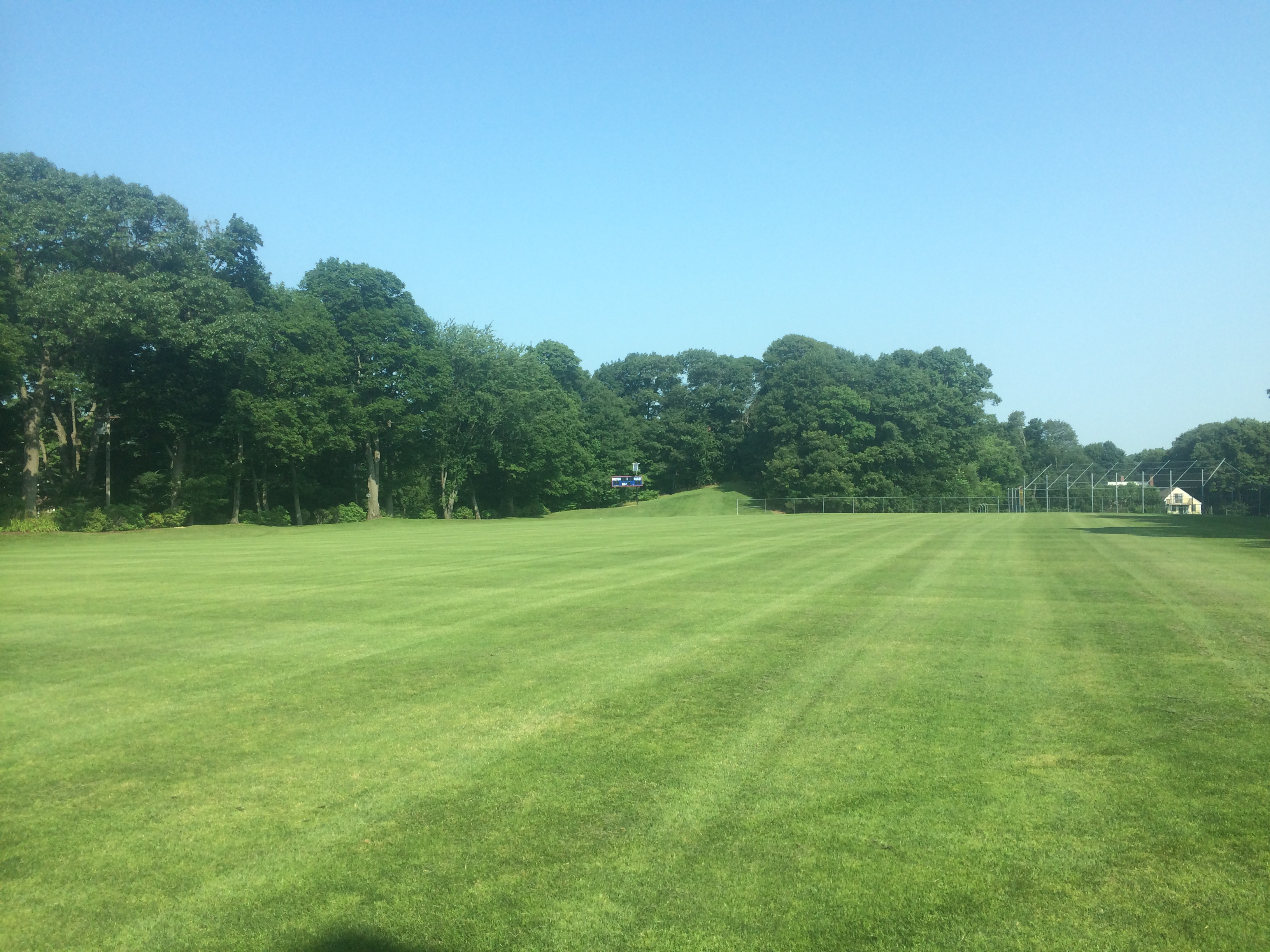 Athletic Field Turfgrass Establishment | Sports Turf Specialties, Inc.