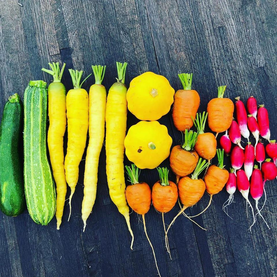 Farm | Bell's Farm | United States