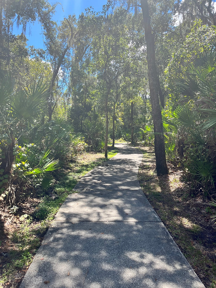 Same Steps, Different Story