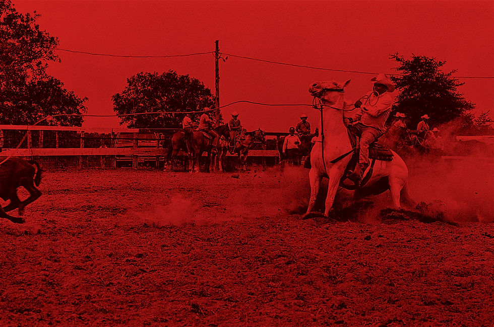 Sarah Bird Books | Bestselling Author