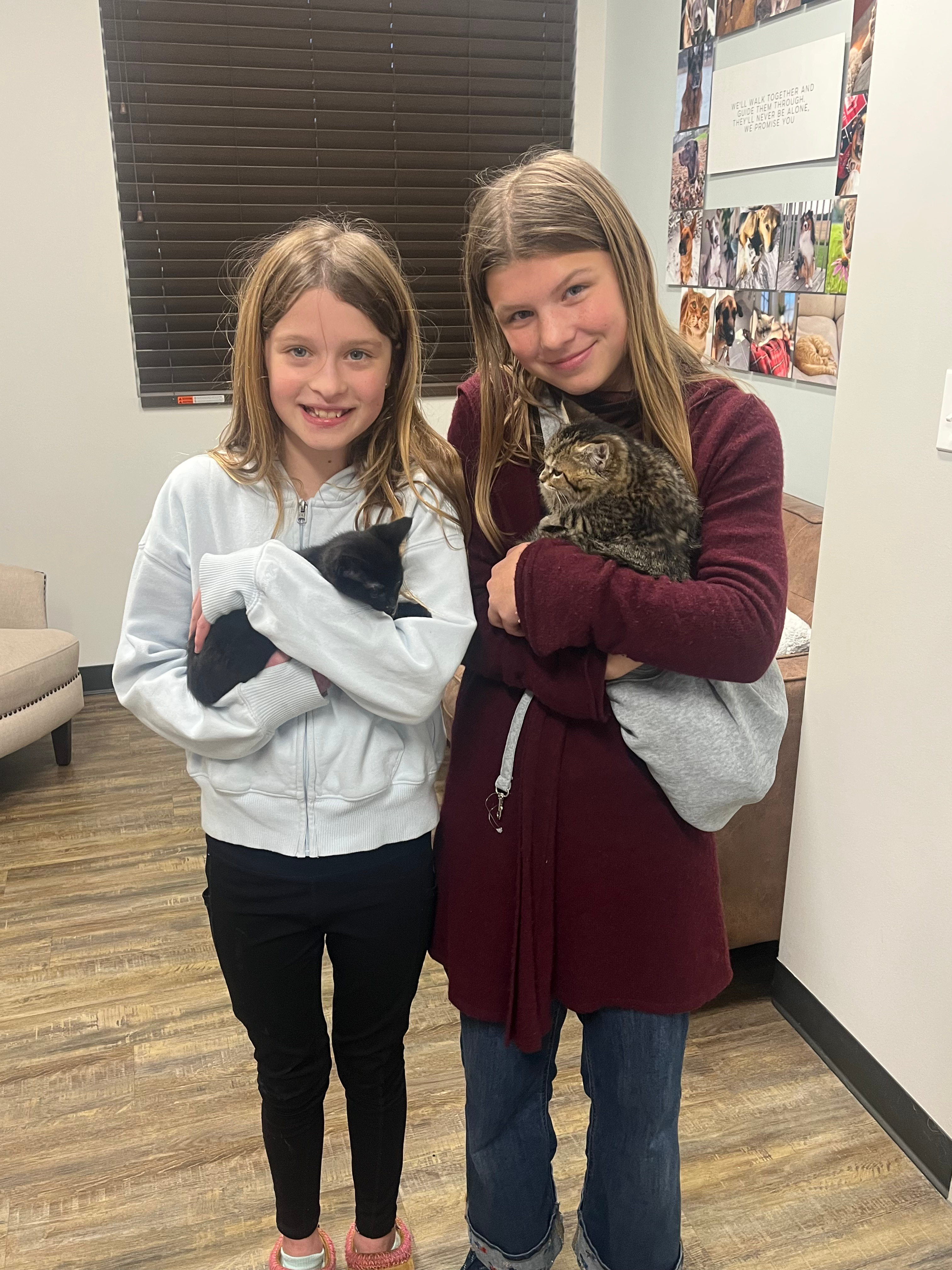 Angel and Midnight | Fat Cat Rescue Inc