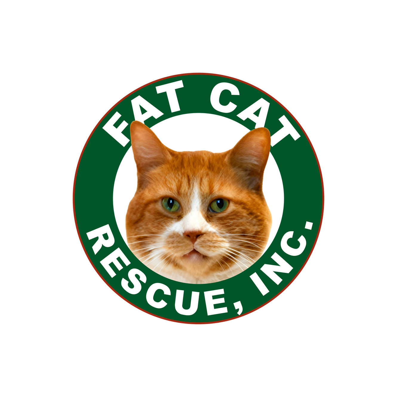 Adoptable Cats | Fat Cat Rescue Inc