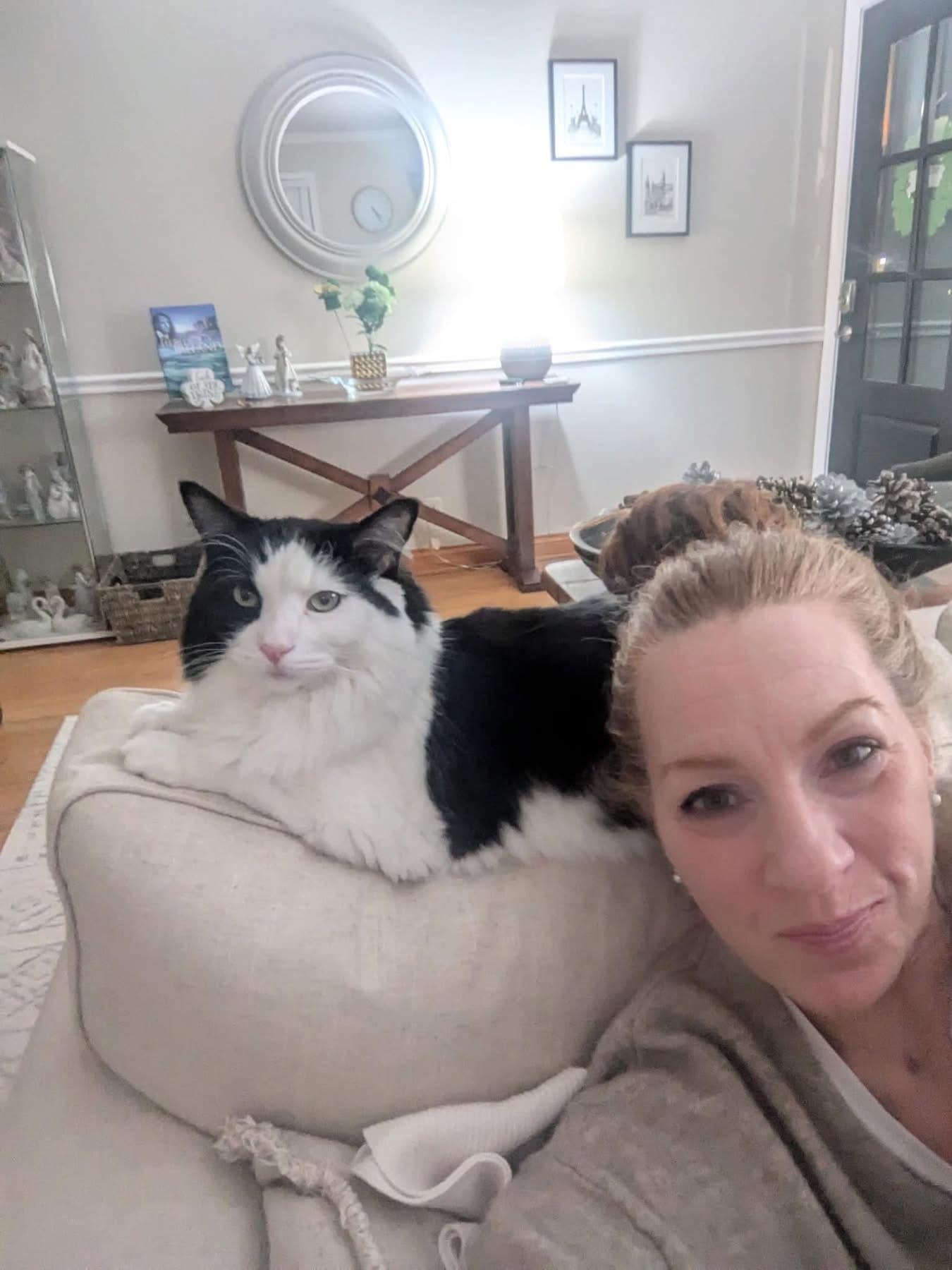 Phantom | Fat Cat Rescue Inc