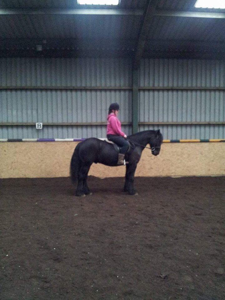 About | Woodend Riding Centre