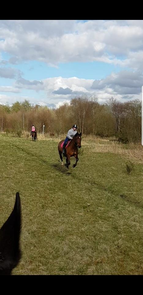 About | Woodend Riding Centre