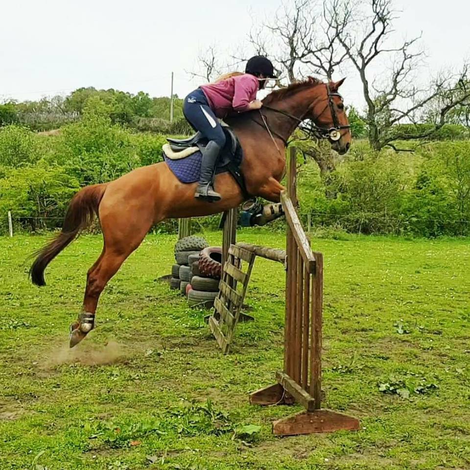 About | Woodend Riding Centre