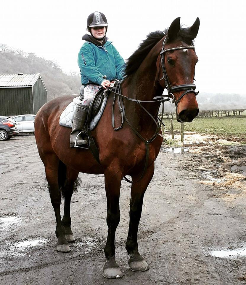 About | Woodend Riding Centre