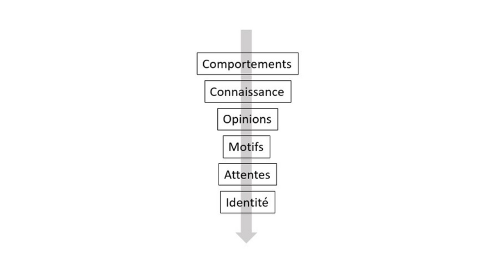 Exemple de questionnaire : Structure et contenu