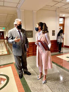 Mihaela Plesa | Experienced Leader for State Representative