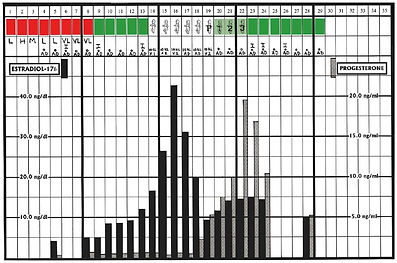 About NaPro Technology | Official FFNW Websit