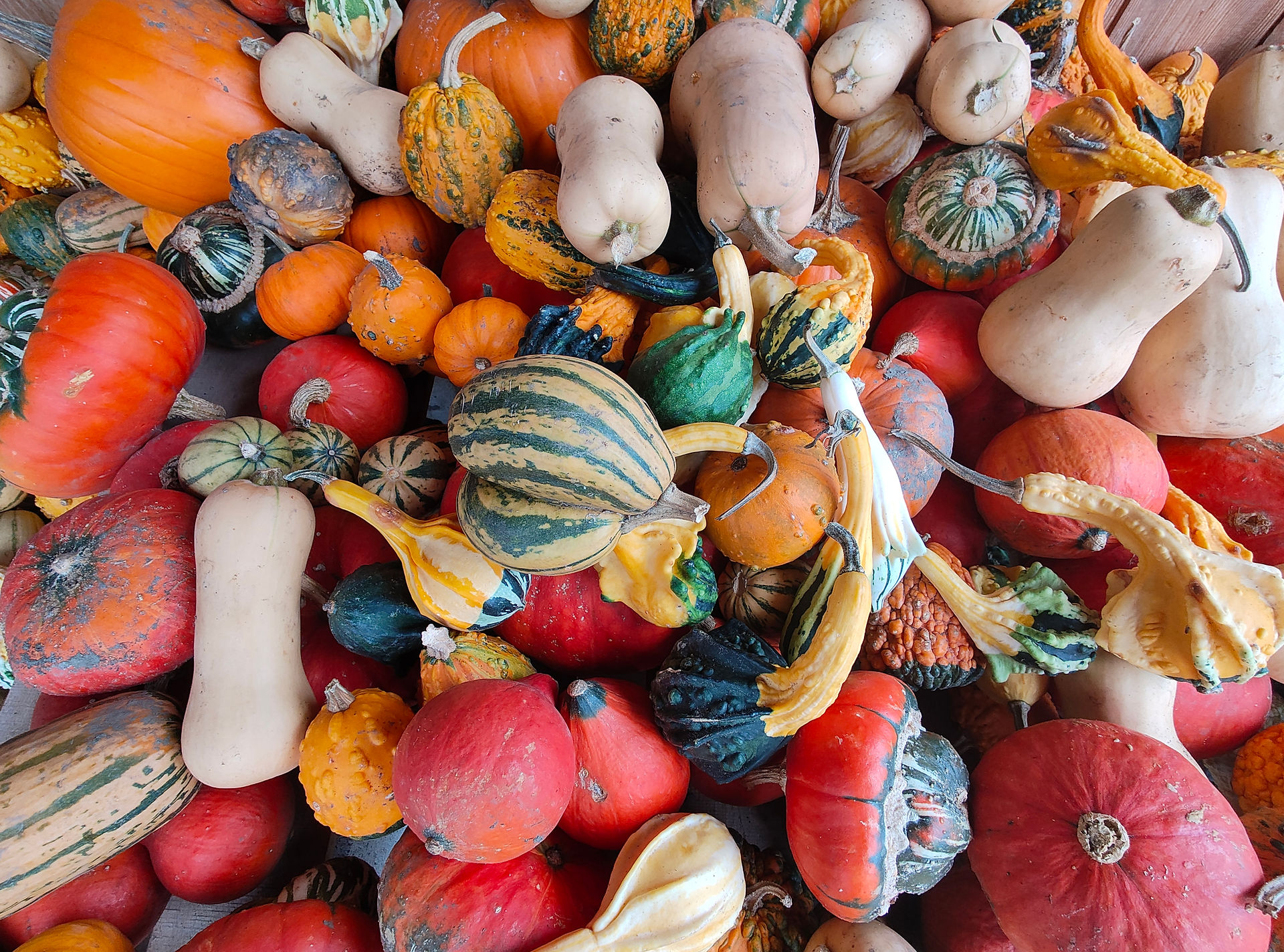 HOME | Roots Farm Market