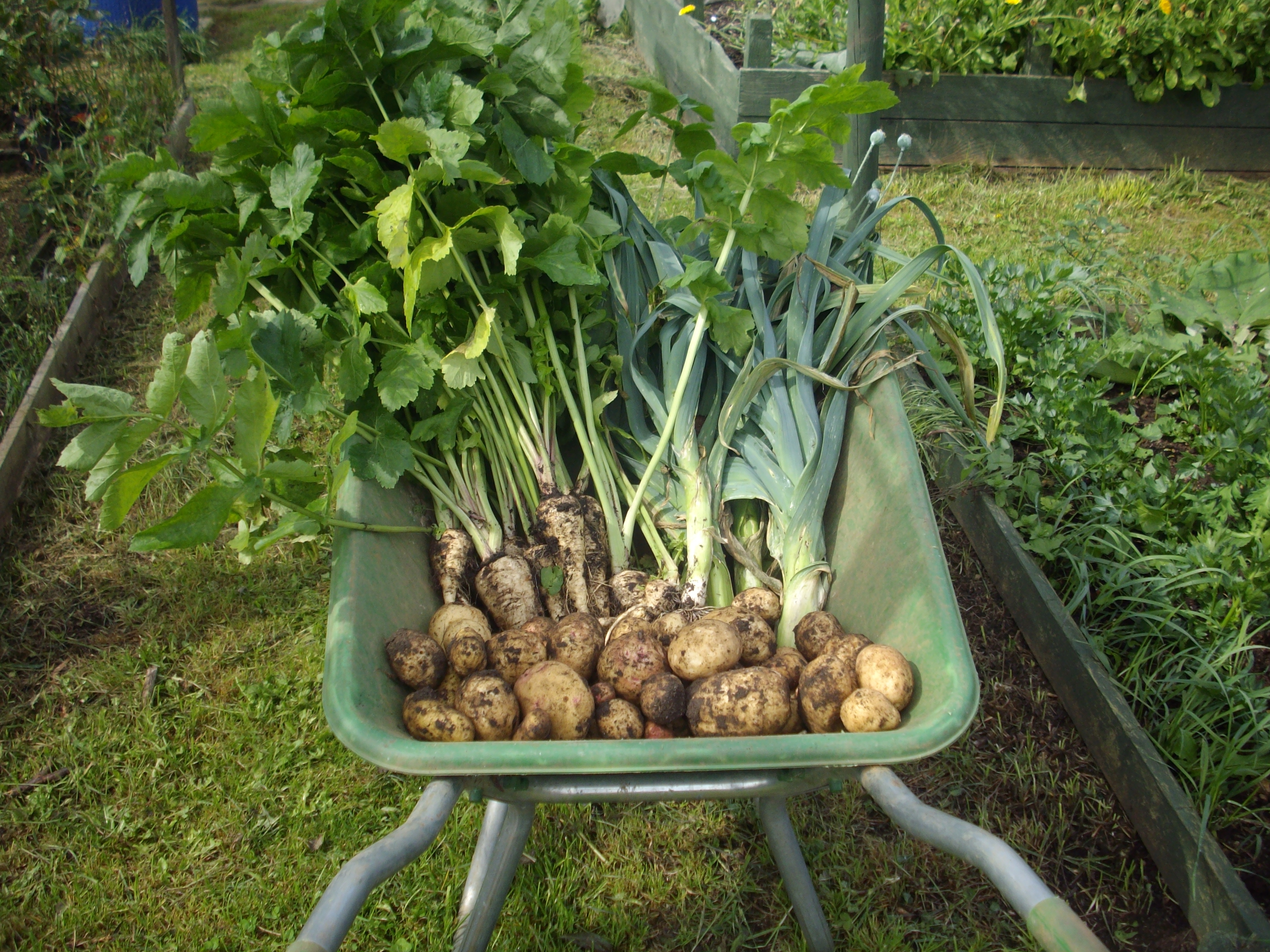 Root and Branch - Home