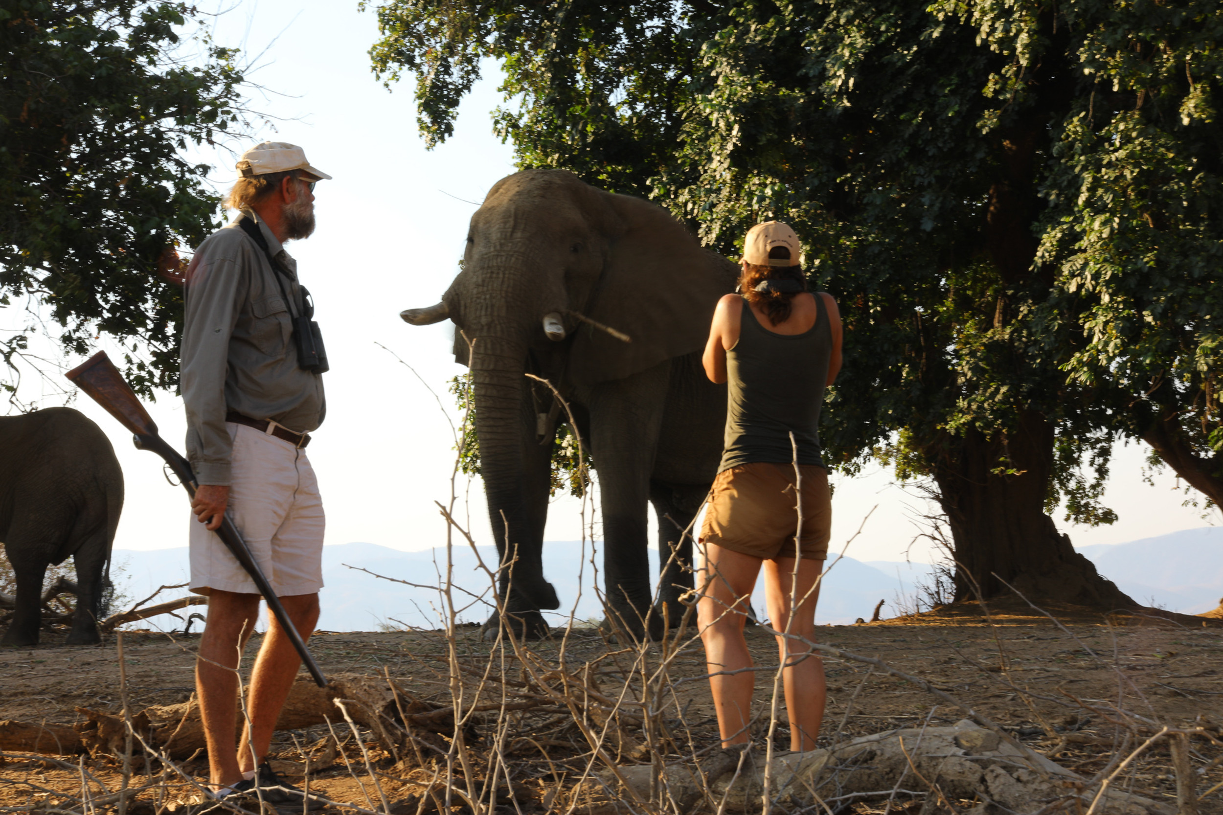 Old Explorer I Itineraries