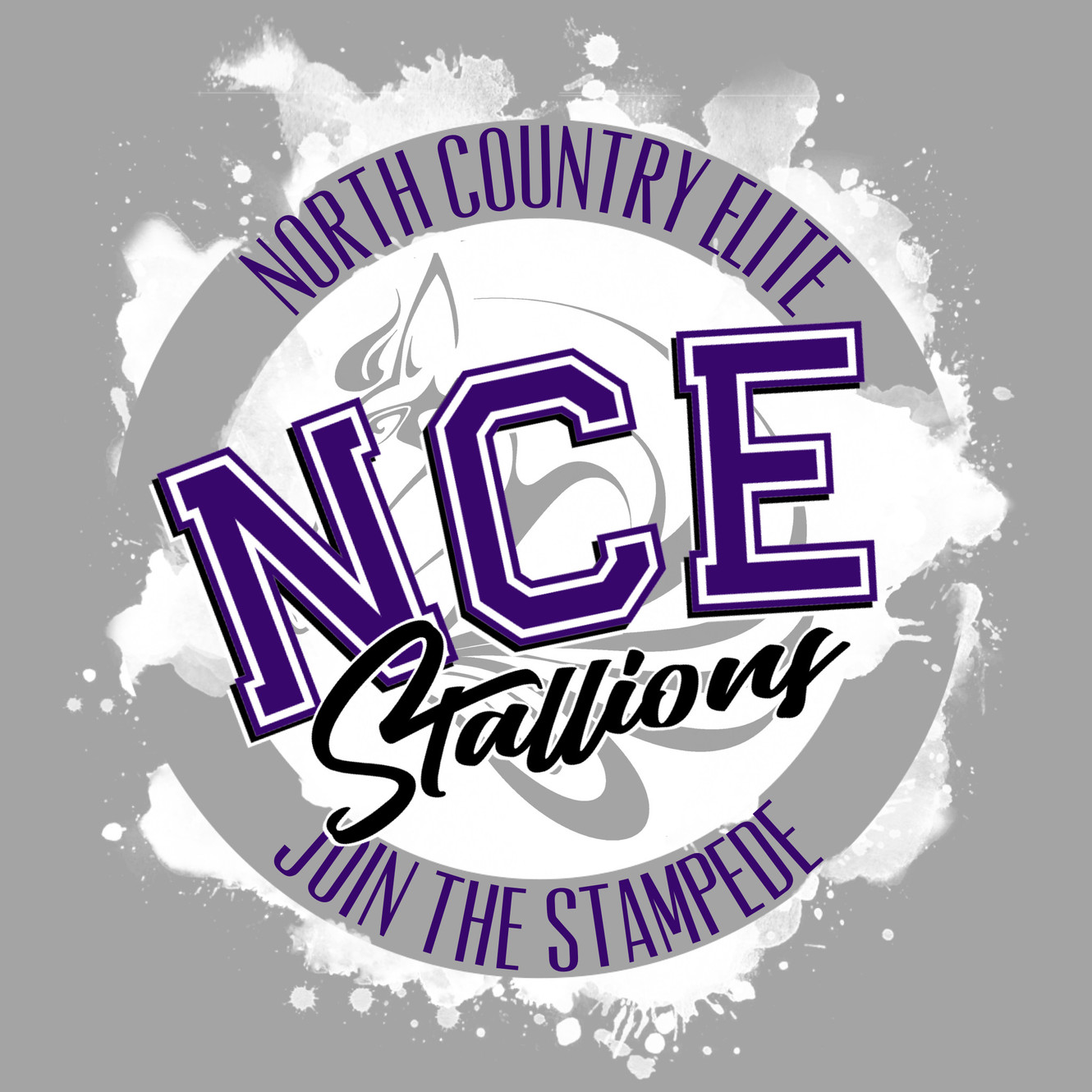 North Country Elite Stallions Cheerleading