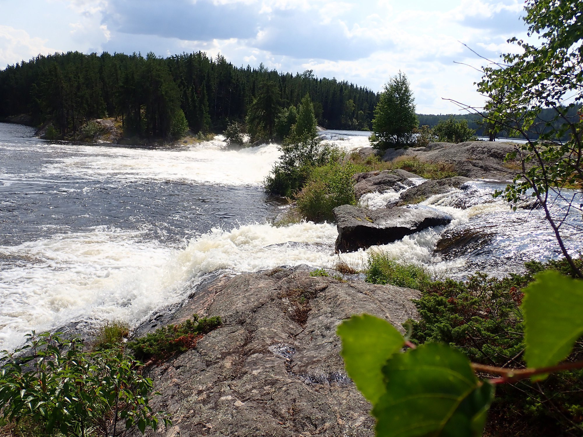 Paull River Canoe Route | MRO