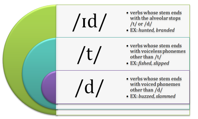 Morphology and the Form of Words