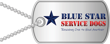Contact | Blue Star Service Dogs