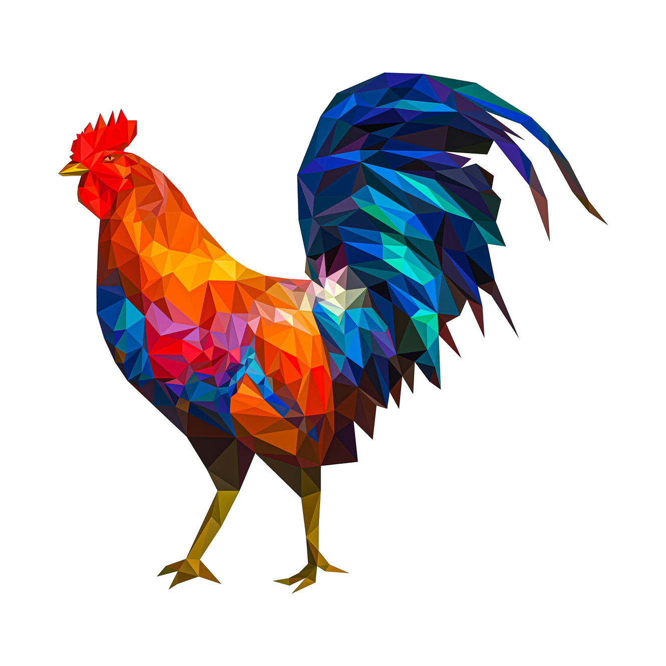 Chicken Keeping 101 | Chicken Keepers, LLC | United States