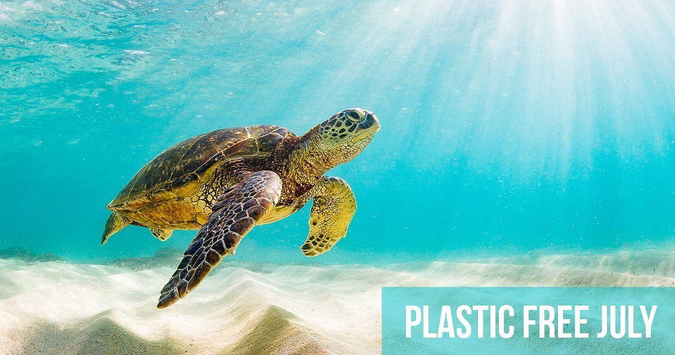 Why Plastic-Free July Matters: Fun Facts for Kids