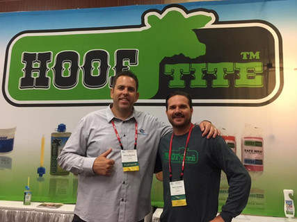 HOME | Hoof Tite Chem Select Cow Hoof Glue Adhesive