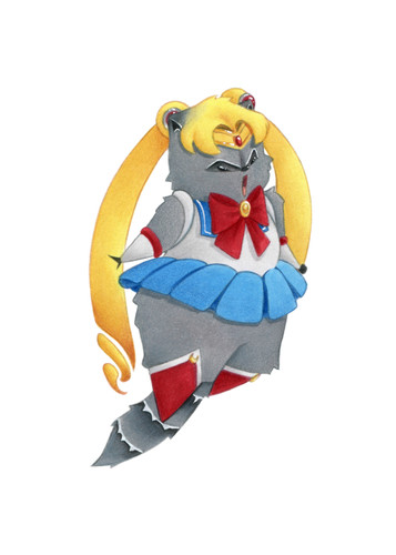 Sailor Raccoon | Nana Marchae Art