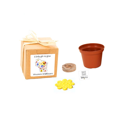 Wisconsin Gift Box Grow Kits™ Wildflower Seeds by Nature Favors ...