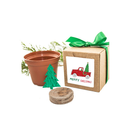 Christmas Tree Gift Box Grow Kit | Nature Favors
