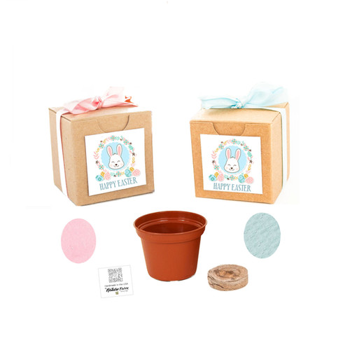 Easter Gift Box Grow Kits™ - Grow Flowers!