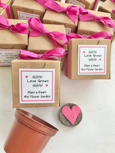Love Grows Flower Seed Garden Grow Kit Gift | Naturefavors