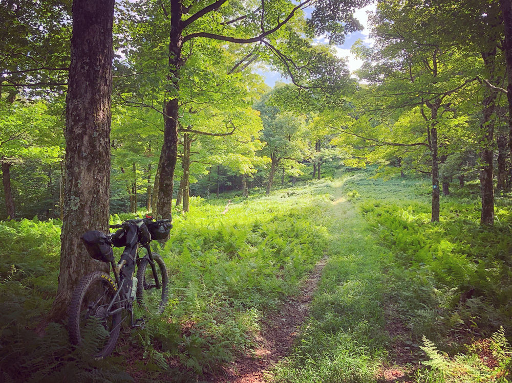 The Taconic Crest Trail & The Hidden Gear