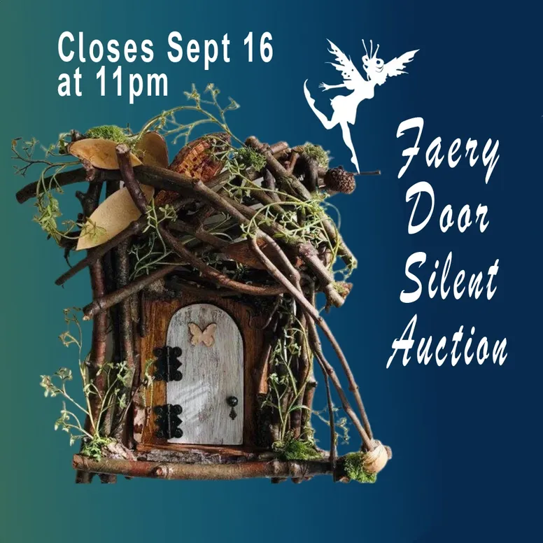 Experience | Faery Ball