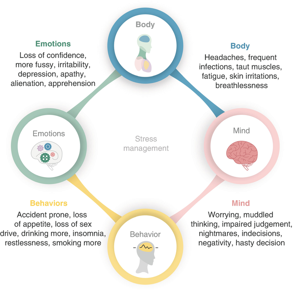 Stress- are you coping?