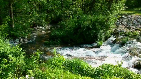 City of Gentry, Arkansas