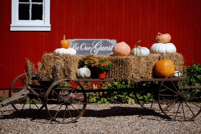 Katz Farms Weddings & Events | Weddings | 8371 15 1/2 Mile Road ...