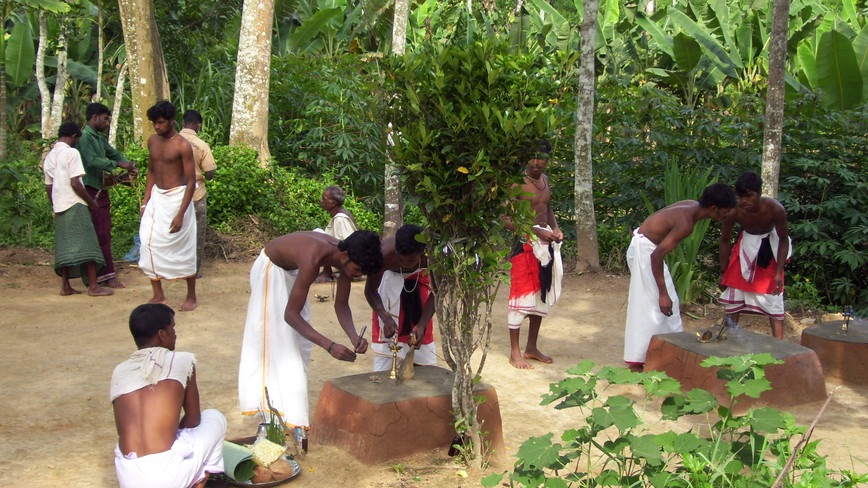 Accord Gudalur | Tribal Support
