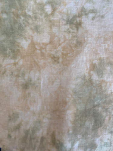 Veldt 36 count 1/4 yard Picture This Plus | The Stitchery Nook