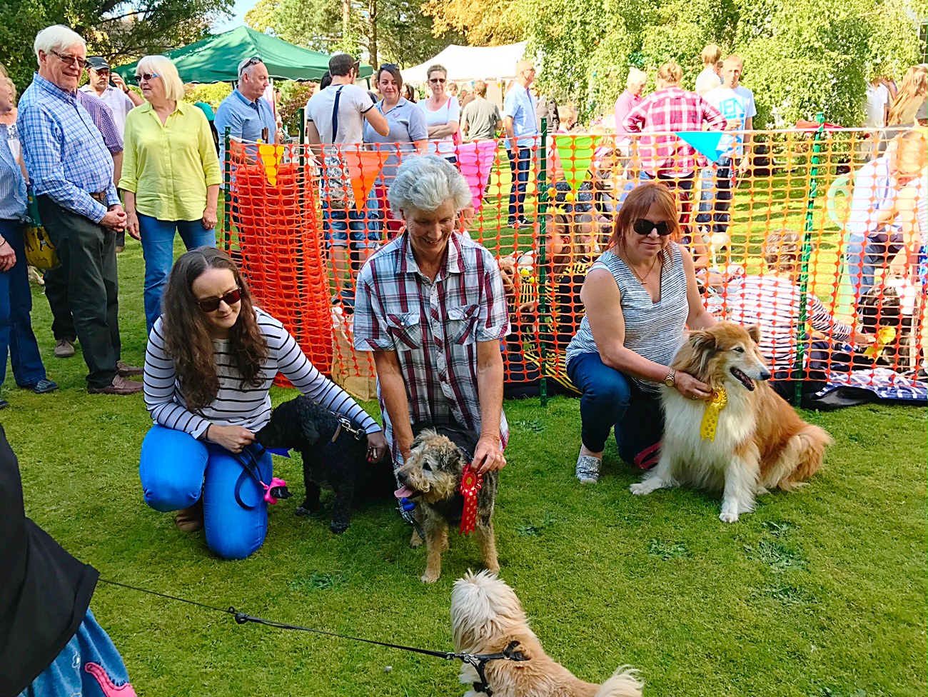 Formby Village Vets hosted their 6th annual dog show