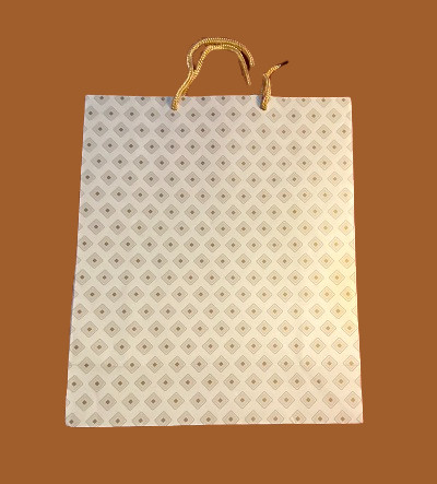 Thick Good Quality Paper Gift Bag by Bags Cover & Beyond
