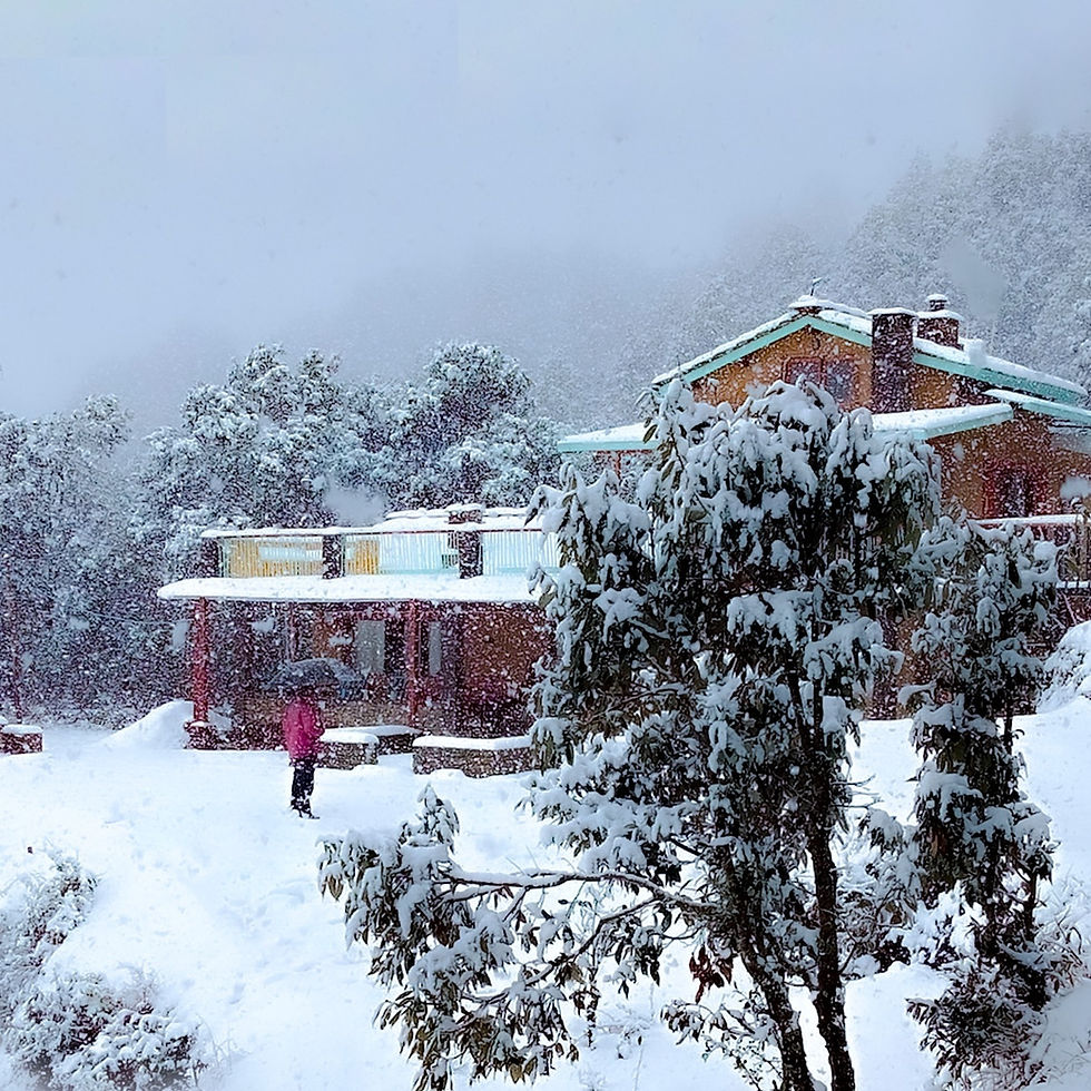 Winter Dreams: 10 Cozy Vacation Homes for your next Winter Getaway