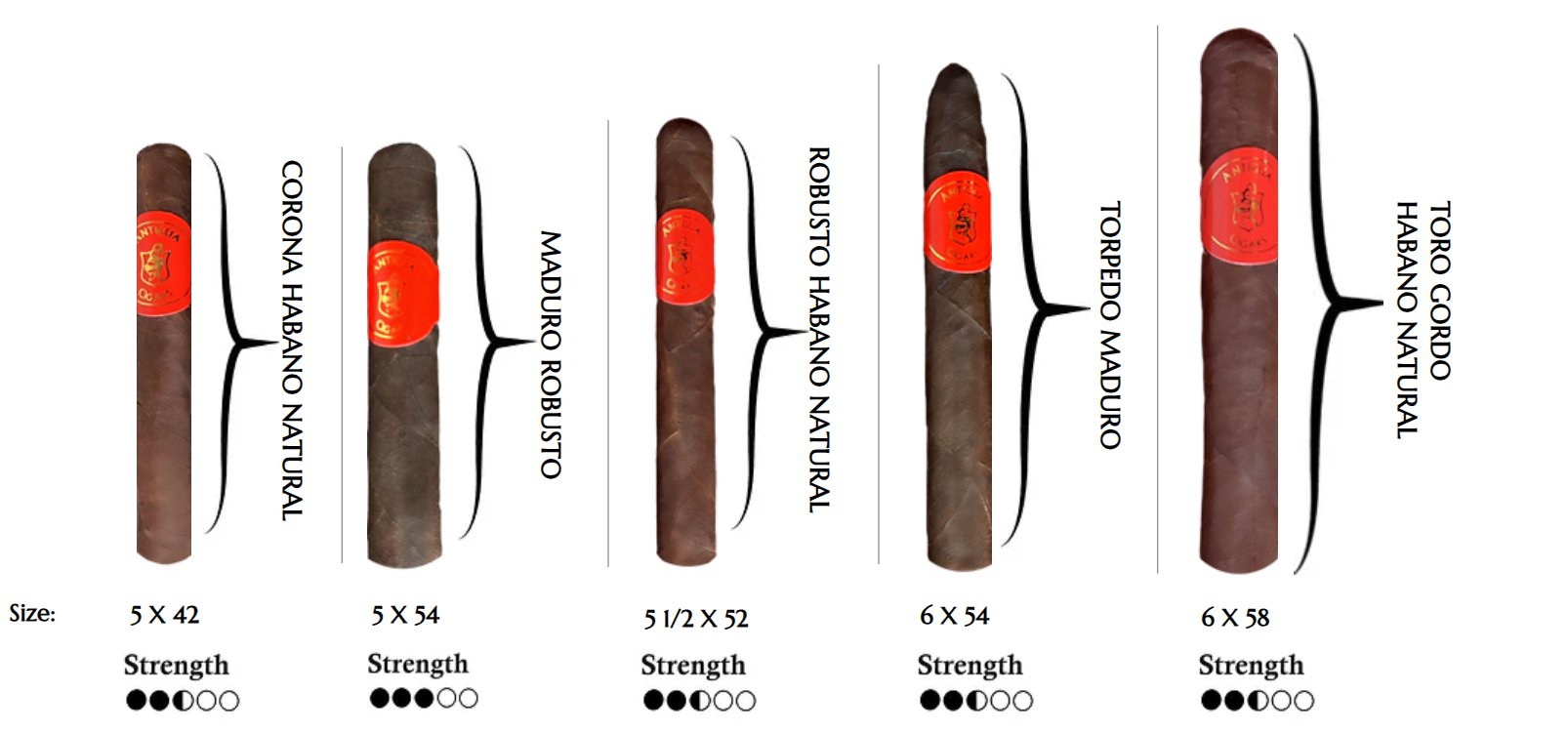 Red Label | Anitgua Cigars