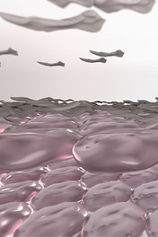 VERSIACTIVE | Celltech