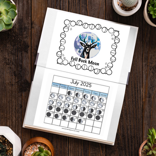 Wild Moon Calendar 2025 | Acorns and Aprons
