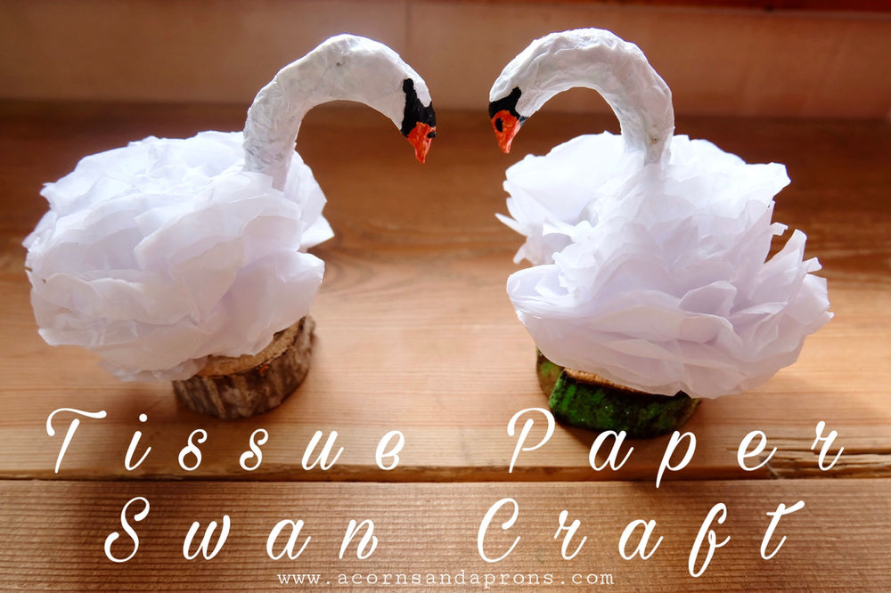 Swan Craft