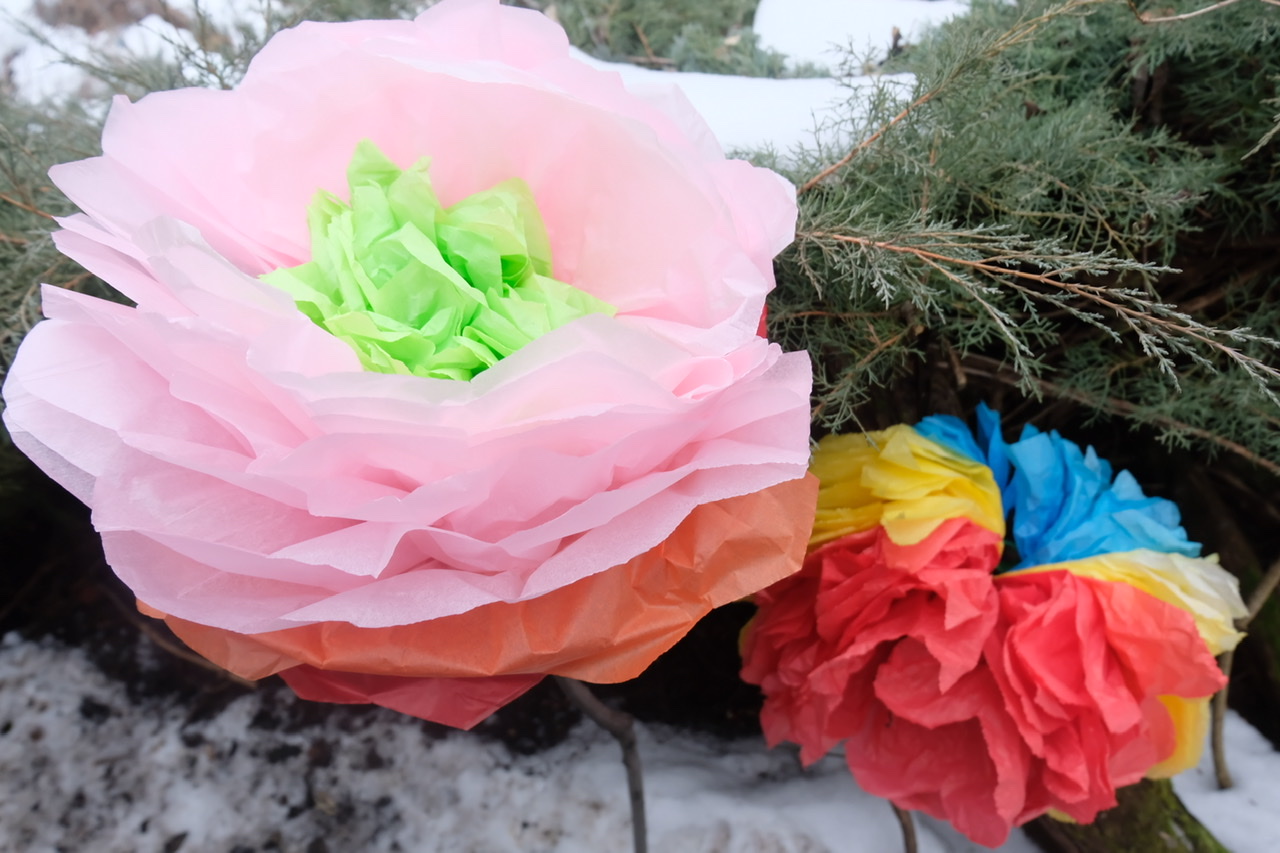 Large Tissue Paper Flower Craft