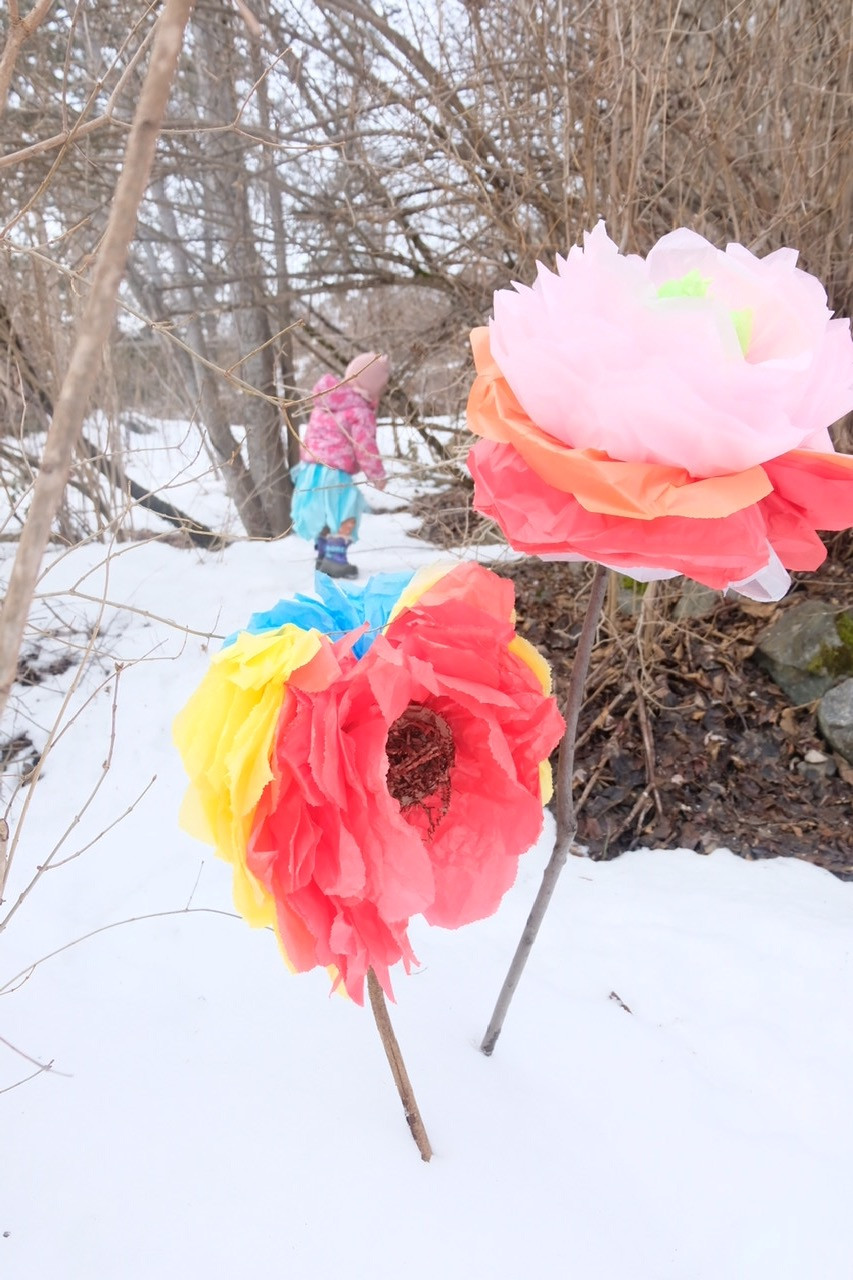Large Tissue Paper Flower Craft