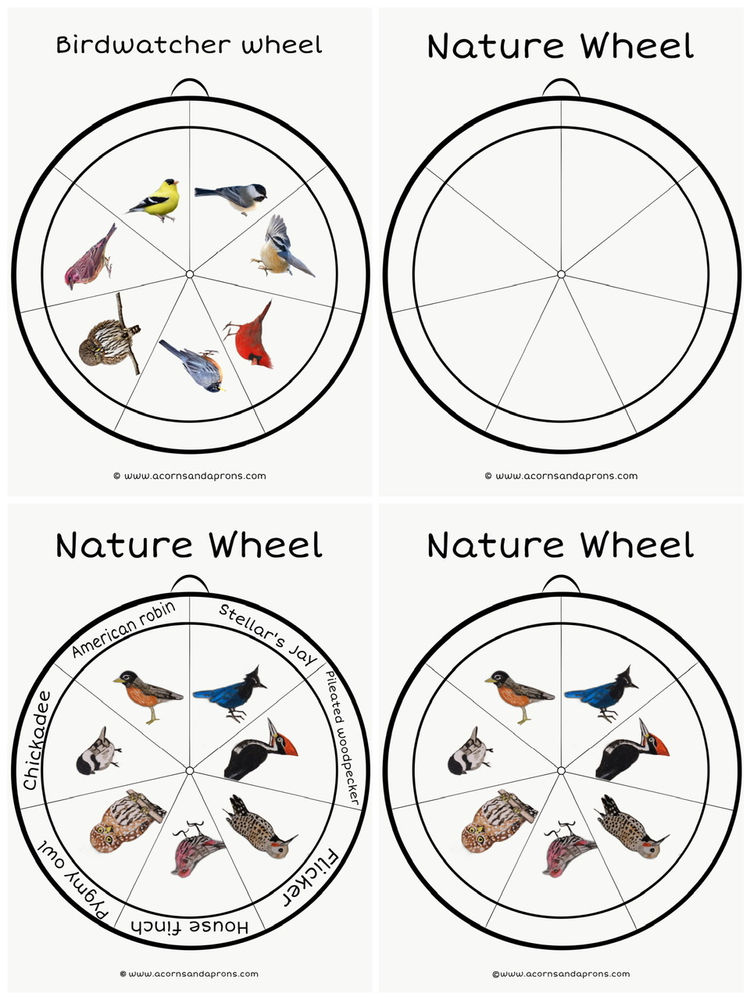 Nature Wheel - Artist Journal