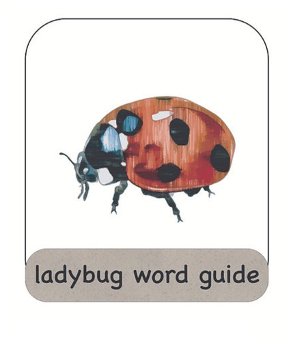 Ladybug word guide (Dolch sight words) | Acorns and Aprons