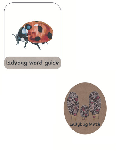Ladybug word guide and math Bundle | Acorns and Aprons