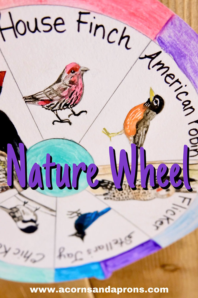 Nature Wheel - Artist Journal